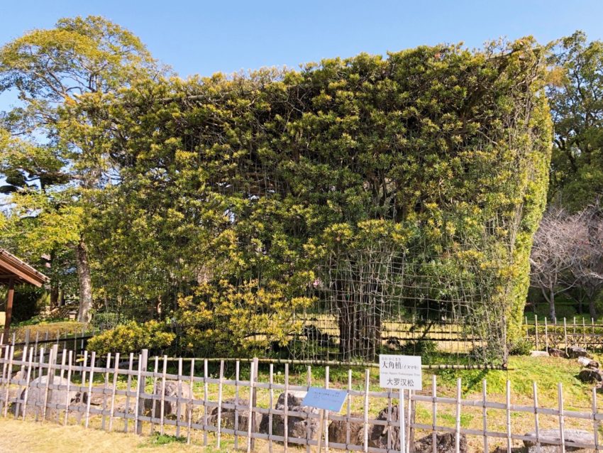 小城公園（Ogi Park） | オギナビ｜小城市観光協会