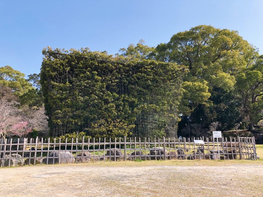 小城公園（Ogi Park） | オギナビ｜小城市観光協会