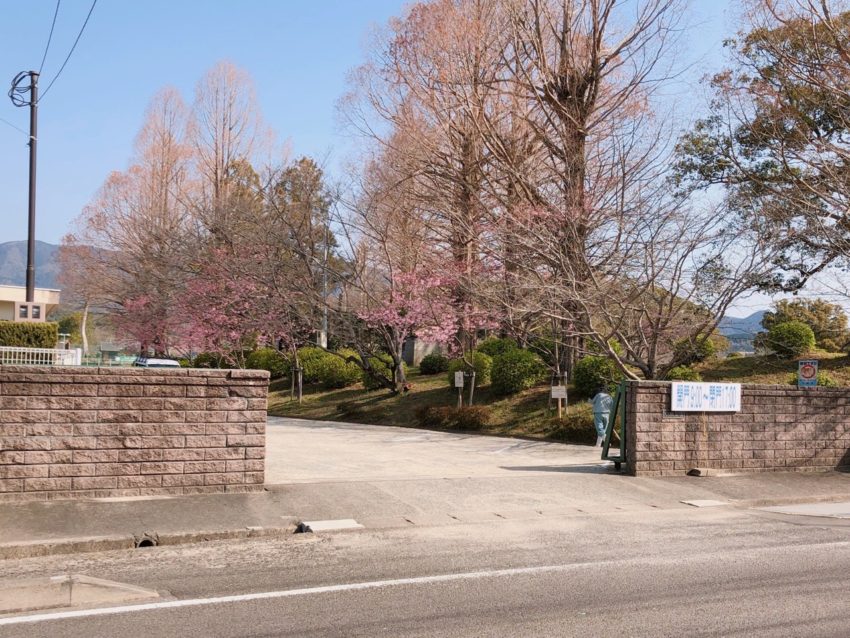 小城公園（Ogi Park） | オギナビ｜小城市観光協会