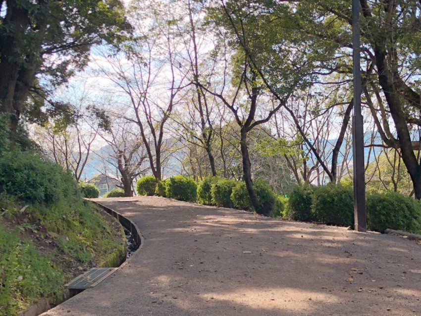 小城公園（Ogi Park） | オギナビ｜小城市観光協会
